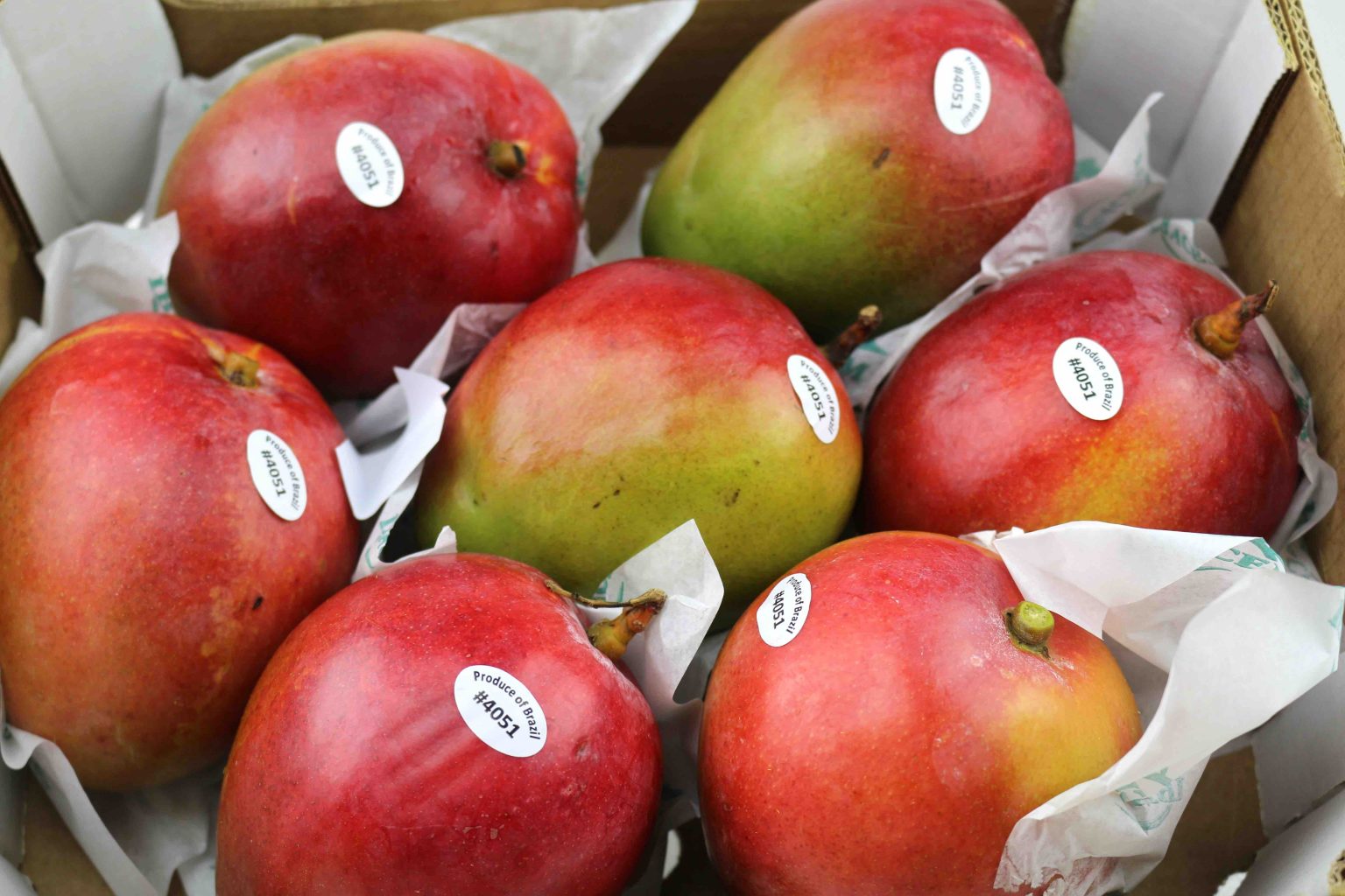 Essreif Mango Kiste 4kg Online bei Obstprofi24 kaufen.